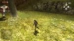 Twilight Princess - Golden Bugs Locations Guide