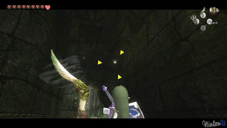 Twilight Princess - Golden Bugs Locations Guide